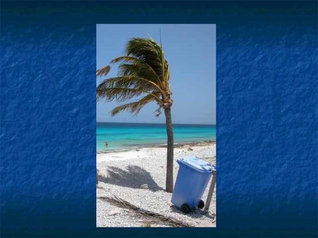 Presentacion negua | PPT