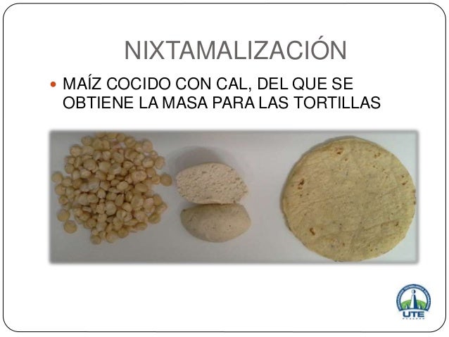 Presentacion Nixtamalizacion