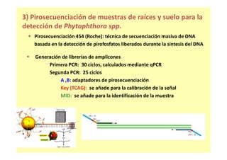 Diagnóstico de Phytophthora spp., gran laboratorio e instalaciones | PDF