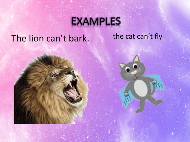 use can & can't | PPTX