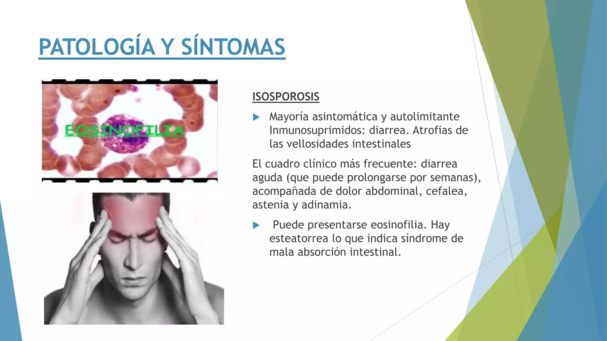PARASITOLOGIA - Parasitos protozoos intestinale | PPT