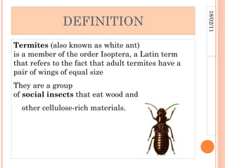 Presentacion pilar garcia | PPT