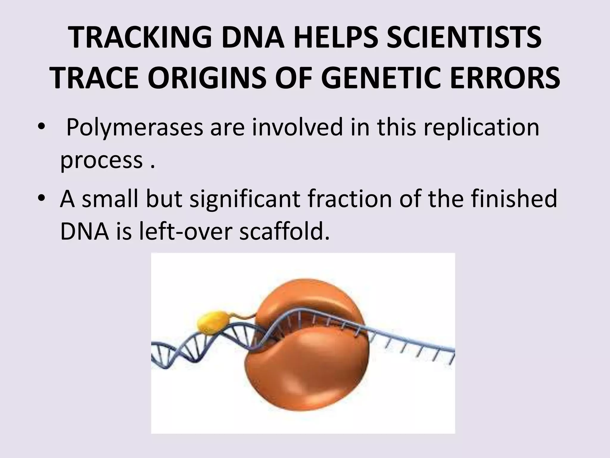 Molecular switch that regulates DNA replication and tracking DNA | PPTX
