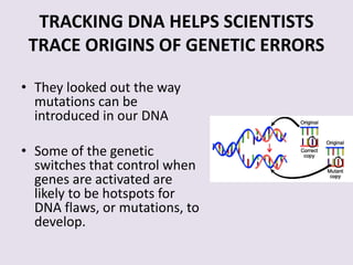 Molecular switch that regulates DNA replication and tracking DNA | PPTX