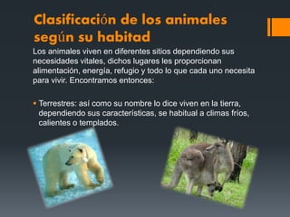 Los animales y su clasificación. | PPTX