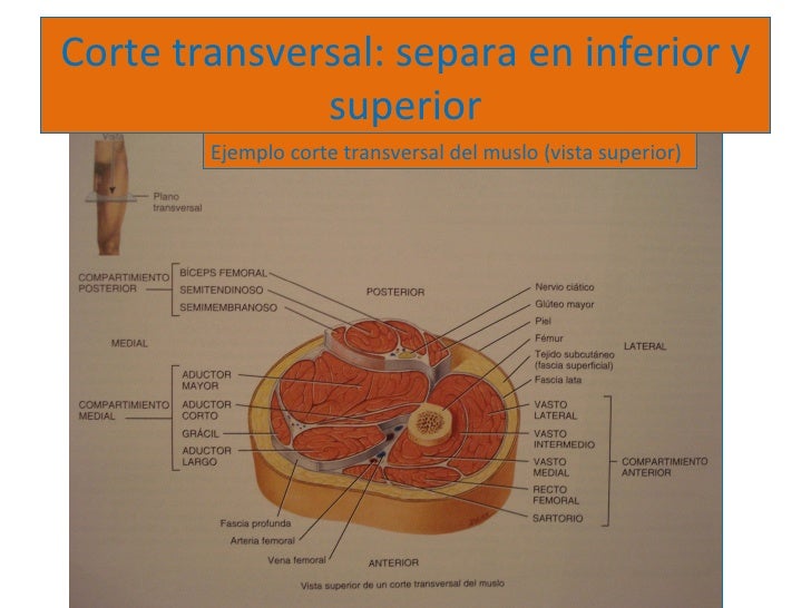 Presentacion primer visita