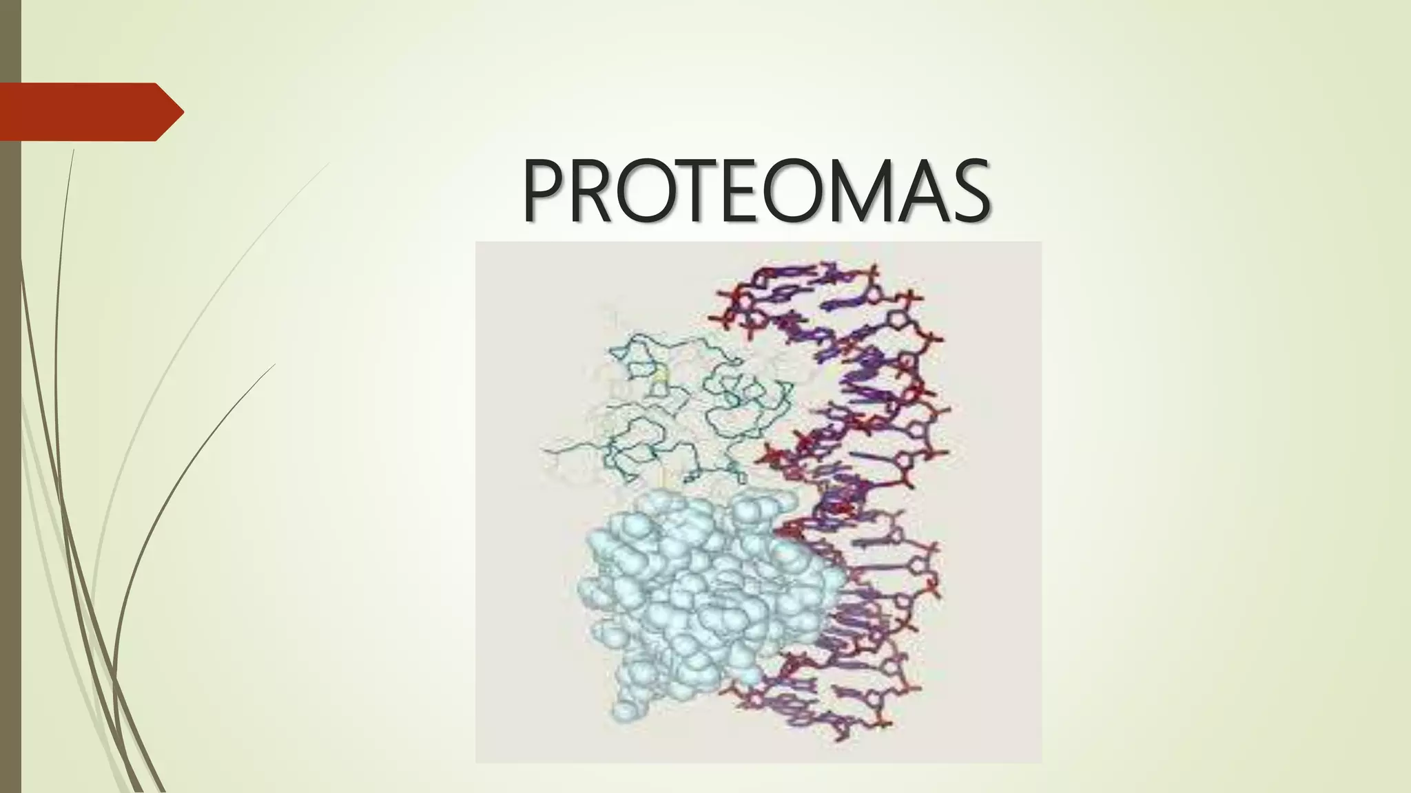 Biología- proteomas por Vanesa Véliz | PPTX | Biological Sciences | Science