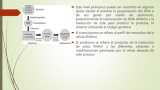 Biología- proteomas por Vanesa Véliz | PPTX