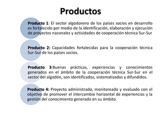 Presentación del proyecto Algodón: objetivos, estrategias y mecanismos ...