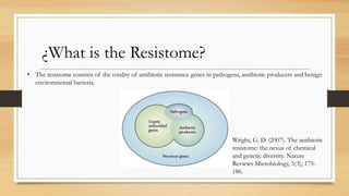 Presentación sobre el resistoma. | PPTX | Chemistry | Science