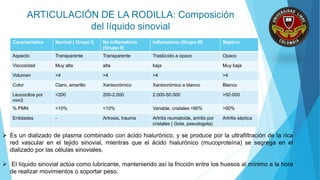 Rodilla y Pierna | PPTX