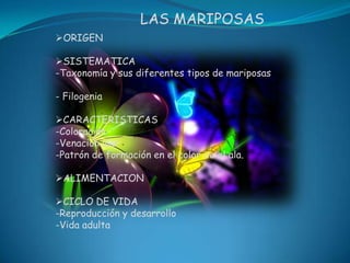 las mariposas | PPTX