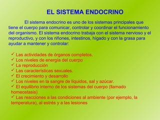 sistema endocrino | PPT