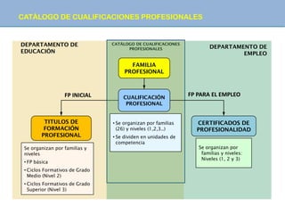 Sistema de cualificaciones y formación profesional | PDF