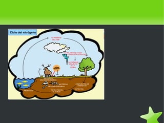 Presentacion sobre ecosistemas | ODP