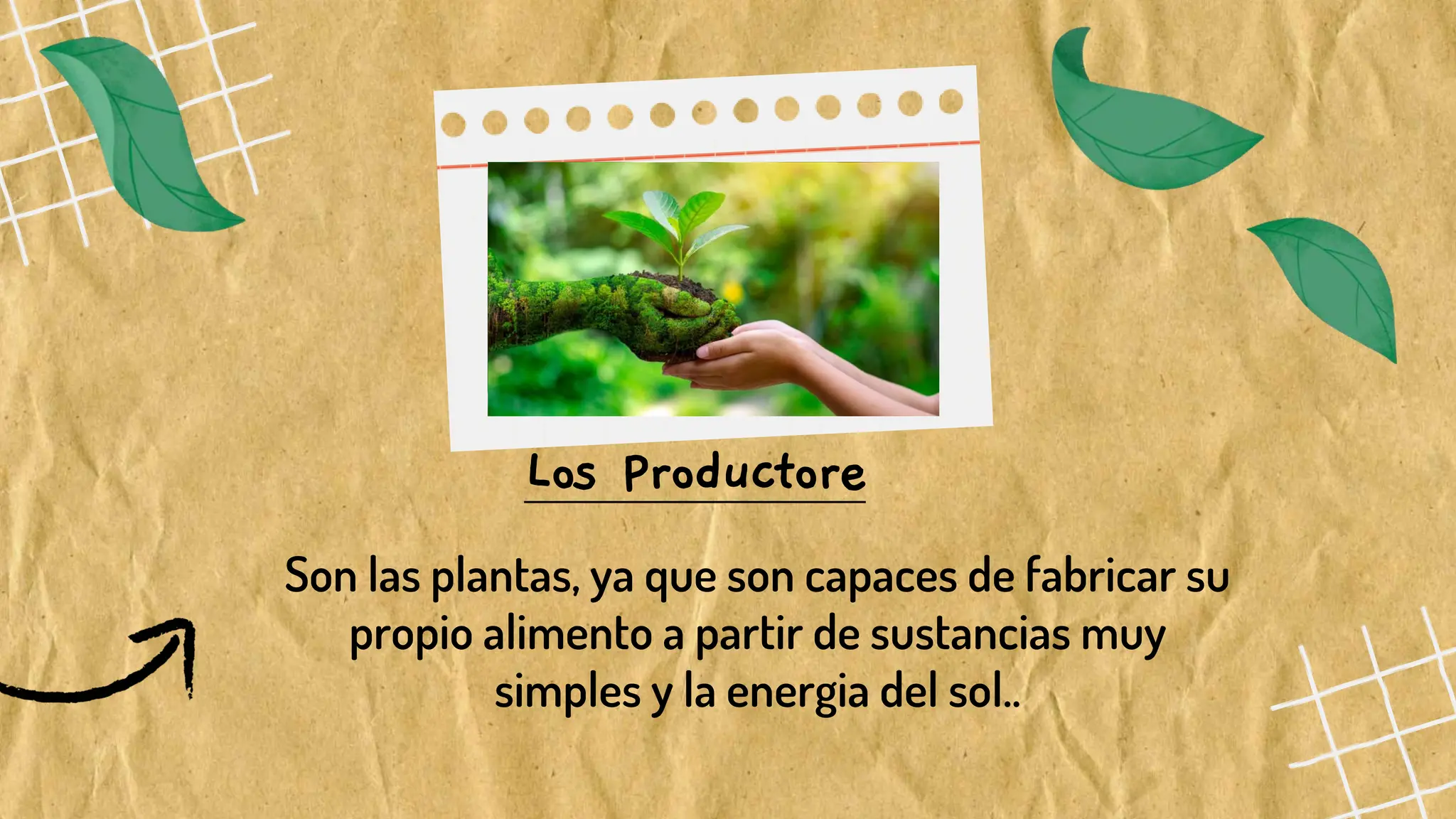 Presentacion sobre la cadena alimenticia 222020009.pptx