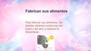 LA NUTRICIÓN DE LAS PLANTAS. | PPTX
