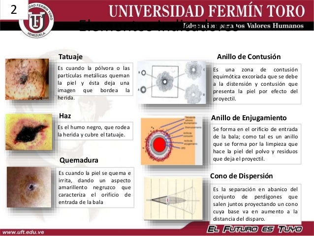 Presentacion temas 3,4,5,6,7