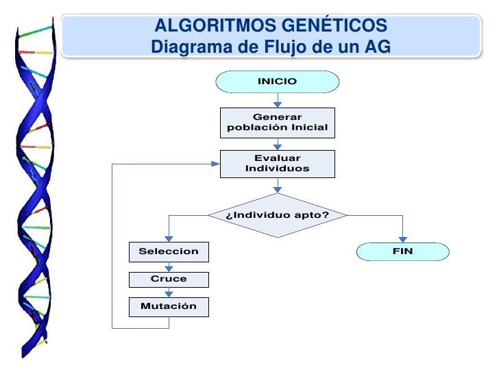 Modelos de Algoritmo Genetico