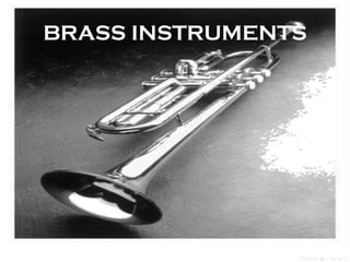 Presentacion the instrument families | PDF