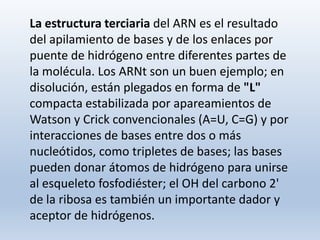 Tipos de ARN | PPTX | Genetics | Science