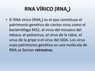 Tipos de ARN | PPTX | Genetics | Science