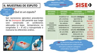 Presentación Tipos de Muestras Biológicas (1).pptx