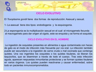 Presentación Toxoplasma gondii Mayo 2024(1).pdf