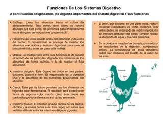 anatomia y fisiologia de las gallinas ponedoras.pptx
