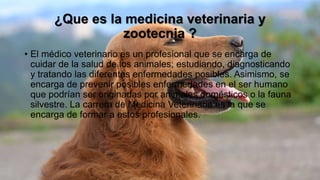 facultad de medicina veterinaria y zootecnia | PPTX
