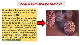 la importancia de la vacuna VPH y su clasificación | PPTX