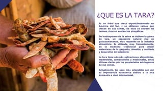 presentacion de la tara en wayu peru y el modelo de la agro inversión ...