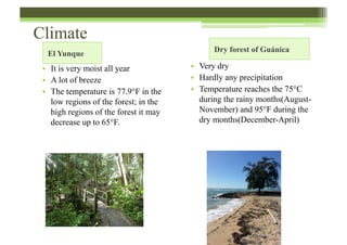 El yunque vs. guanica dry forest | PDF