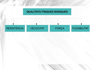 Qualitats físiques bàsiques | PDF