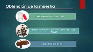 Presentadores | PPTX