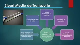 Presentadores | PPTX