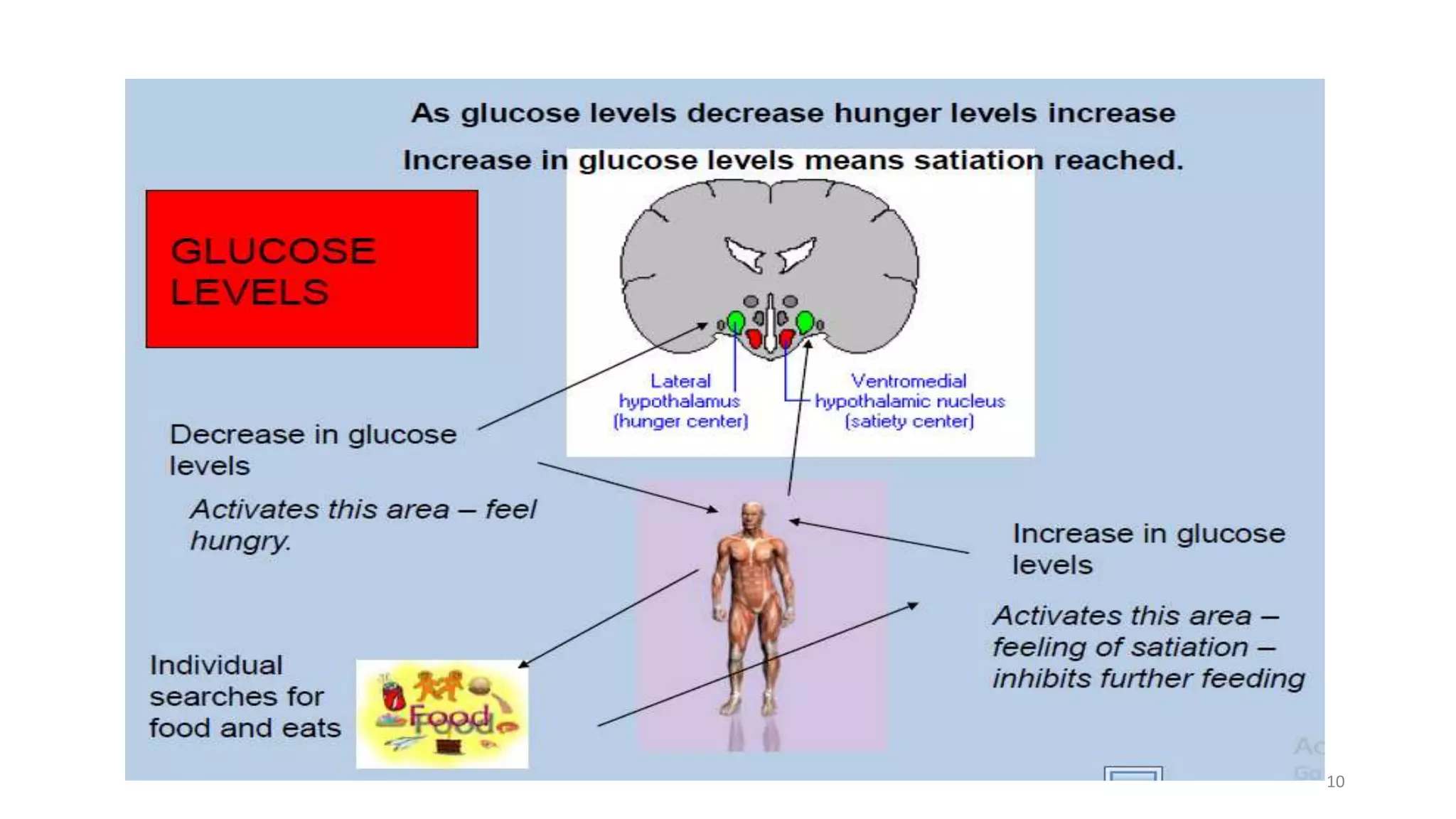 Neural mechanism of food and water intake | PPTX