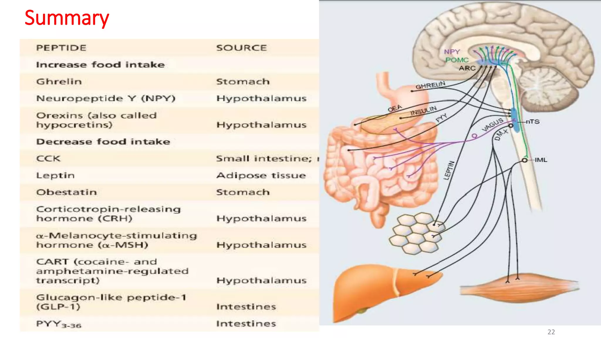 Neural mechanism of food and water intake | PPTX