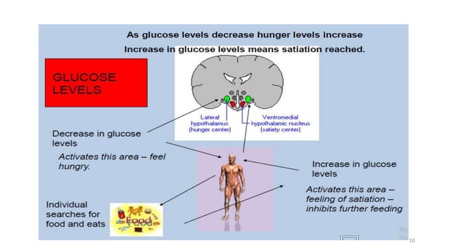 Neural mechanism of food and water intake | PPTX