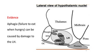 Neural mechanism of food and water intake | PPTX