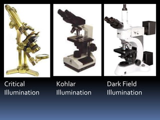 magnification and illumination of microscopes | PPTX