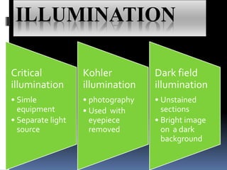 magnification and illumination of microscopes | PPTX