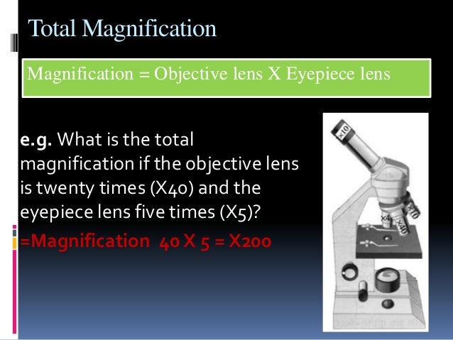 magnification and illumination of microscopes