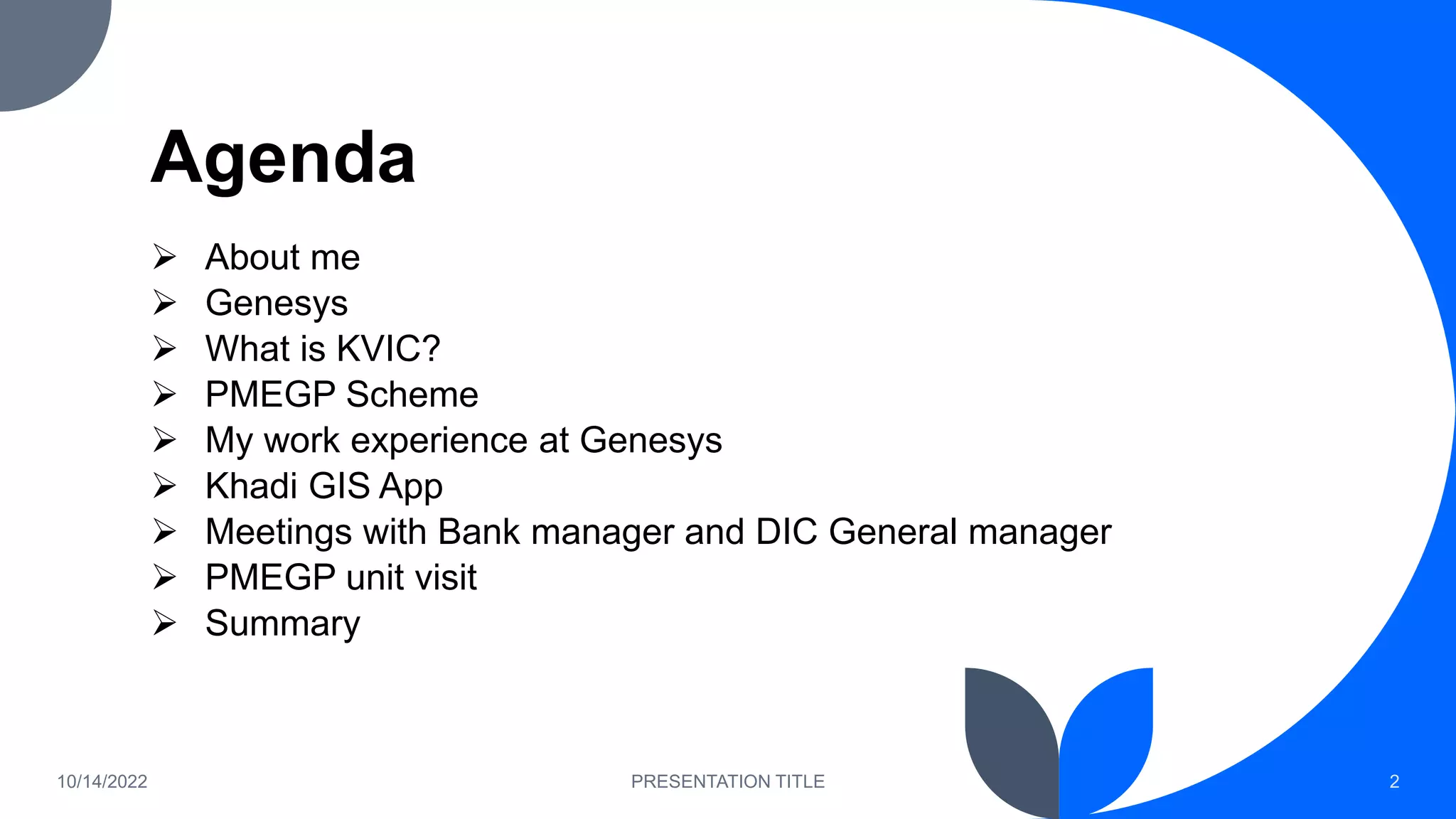 My experience with PMEGP scheme.pptx