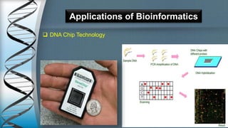 Bioinformatrics and it's application | PPSX