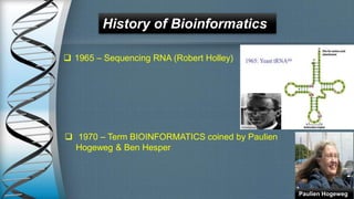 Bioinformatrics and it's application | PPSX