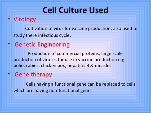 Presentation on cell line by Shakira 2