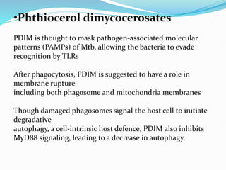 virulence and pathogenesis of mycobacteria.pptx
