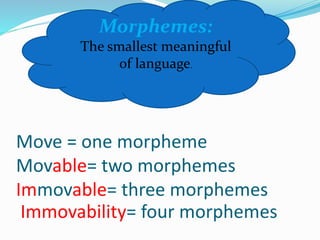Morphology | PPTX | Geology | Science