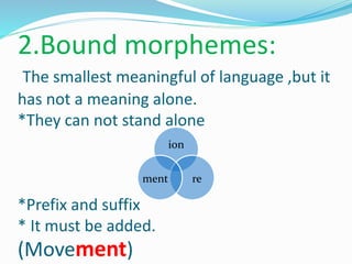 Morphology | PPTX | Geology | Science